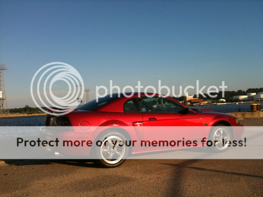 Wheel chop please! Reps! | Modded Mustang Forums